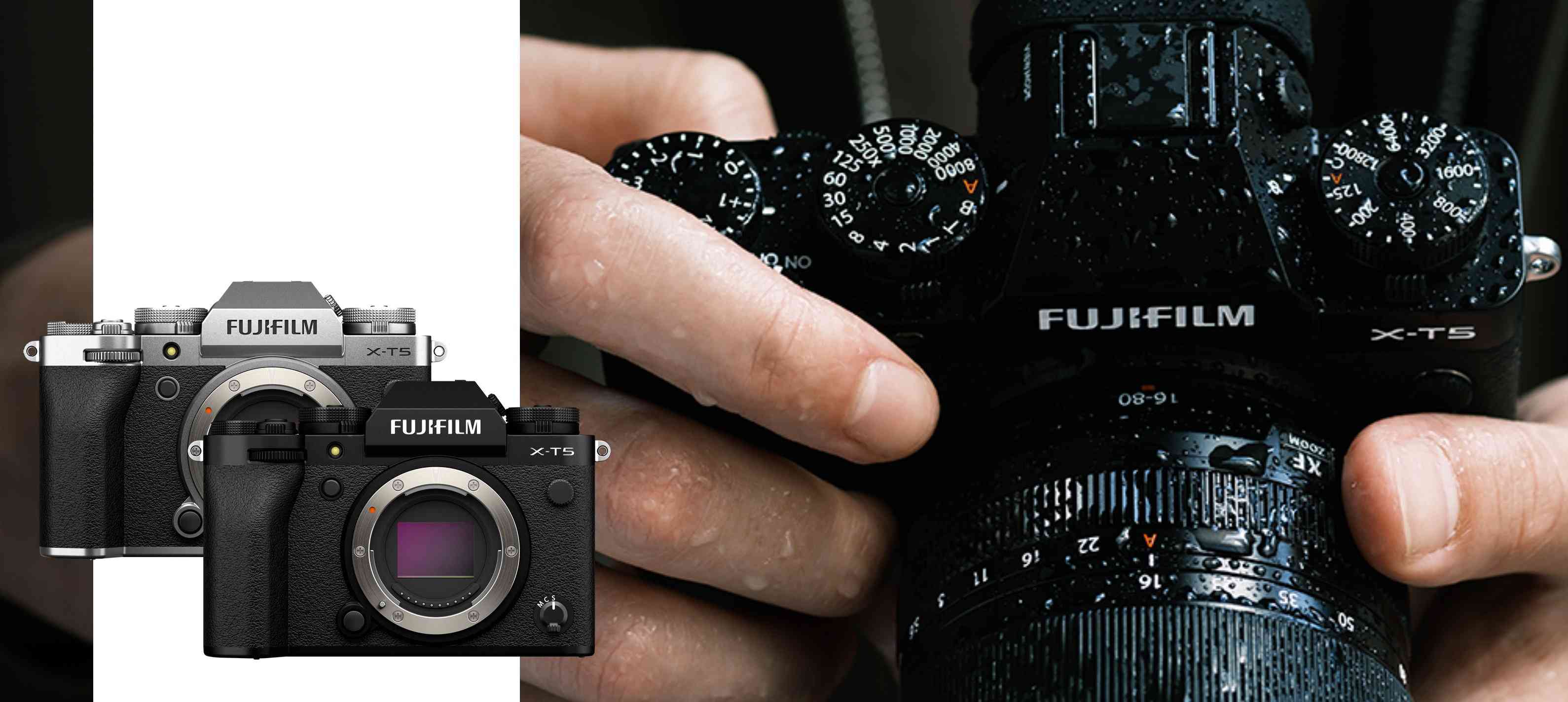 E-Infinity Online Camera Store